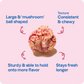 Tochi Popcorn – Tochisnacks